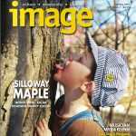 Silloway Maple – It Runs in the Family