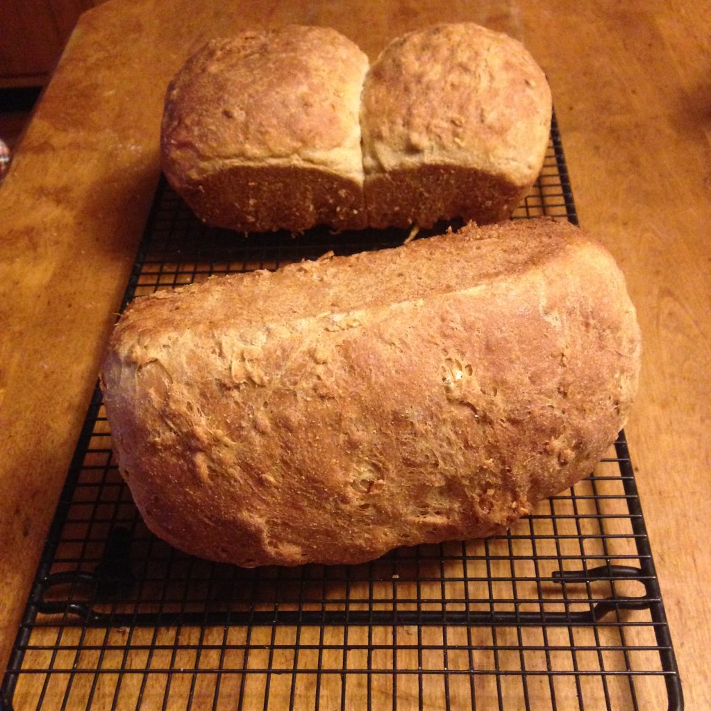 Maple Anadama Bread - Silloway Maple