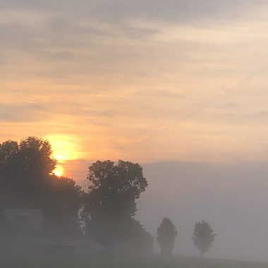 Silloway Maple - Recipes