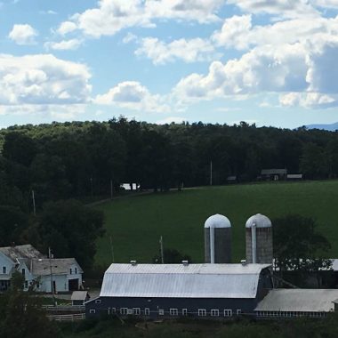 Silloway Maple It Runs In The Family